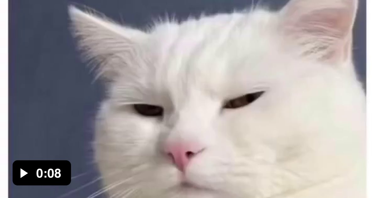 Listening with resting judge face - 9GAG