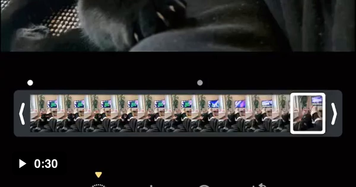 System of a Meow - 9GAG