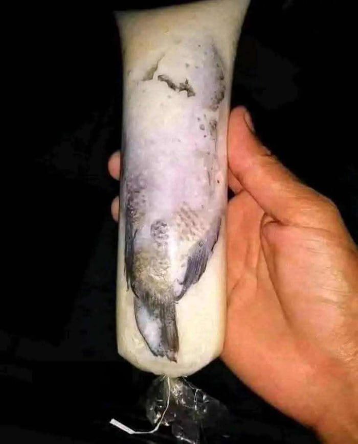 Fish ice cream, known as "bolis" ,from Veracruz - 9GAG