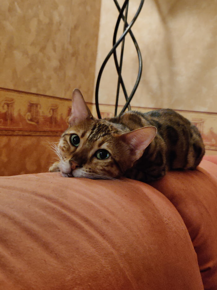 My little Boy - 9GAG