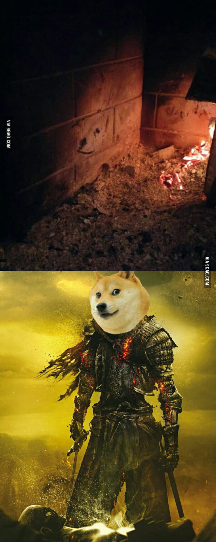 Praise the sun, for thy doge is thy neweth lord of cinder! - 9GAG