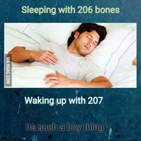 207 bones in the morning - 9GAG