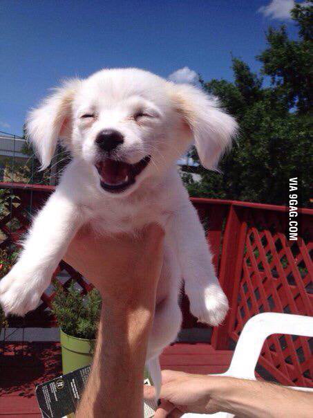 That Smile - 9GAG