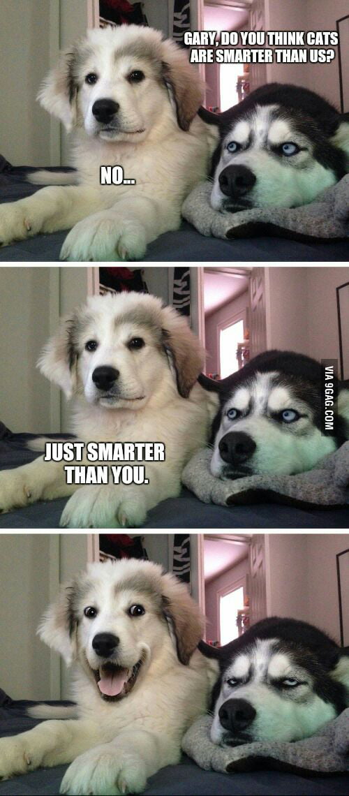 Ouch, that was a little ruff - 9GAG