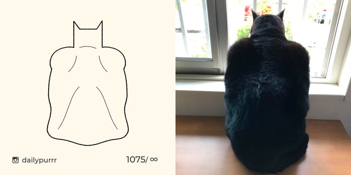 What is the name of that super hero? Purrman? Catbat? Catman? - 9GAG