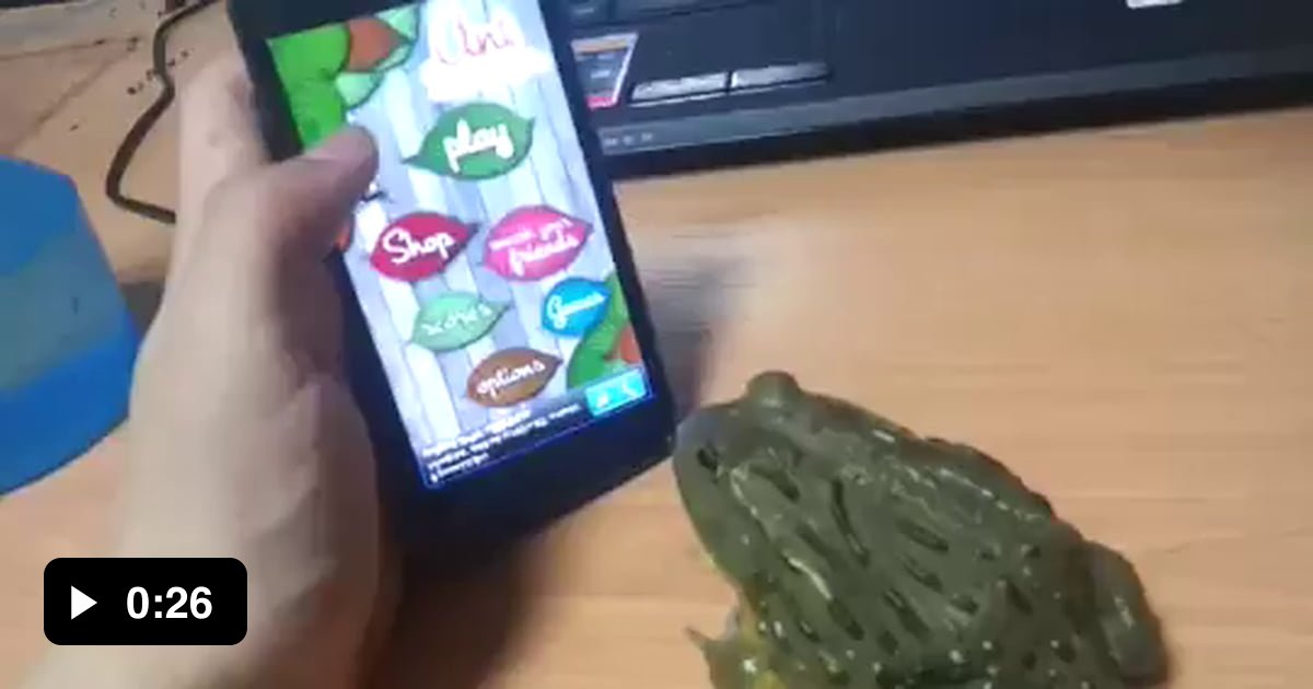 Frog playing insect crushing game - 9GAG