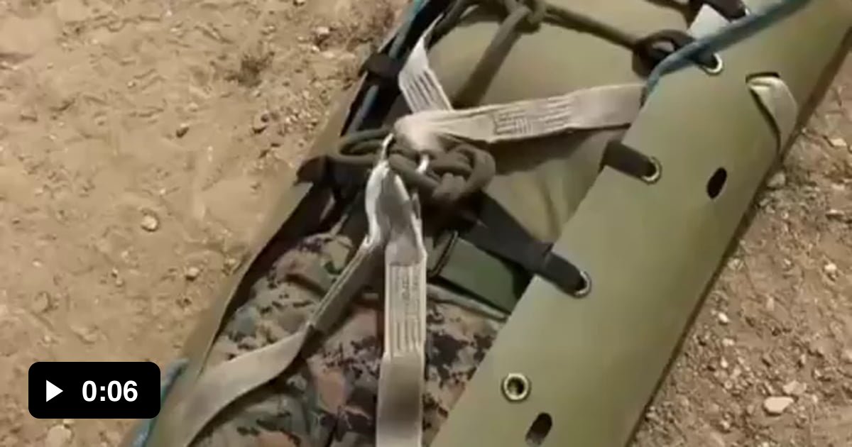 Pickle Rick (military issue) - 9GAG