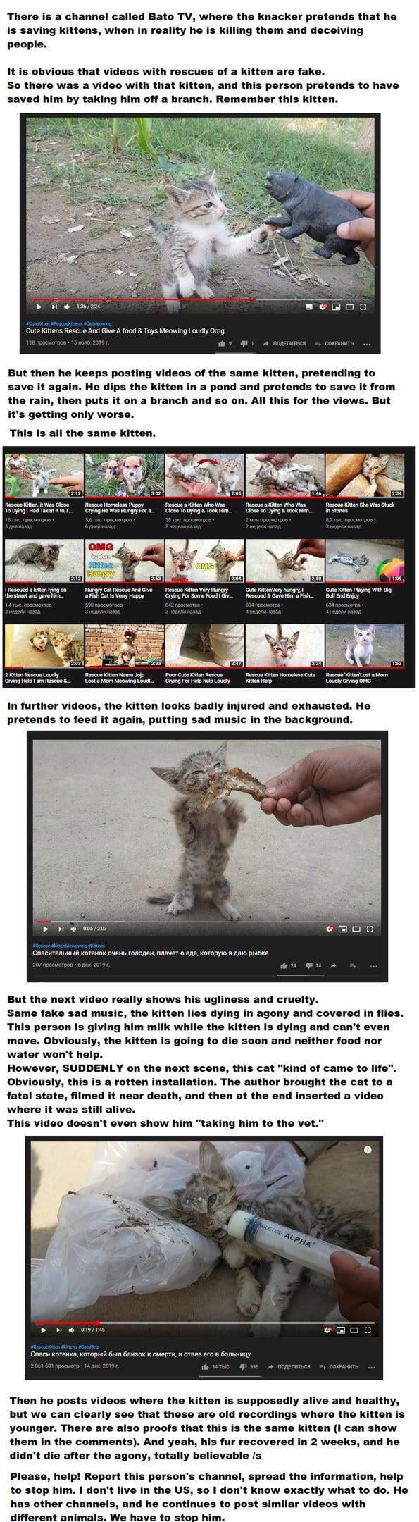 This total piece of shit is hurting animals for views. - 9GAG
