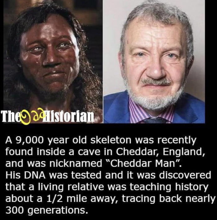 Cheddar man's relative - 9GAG