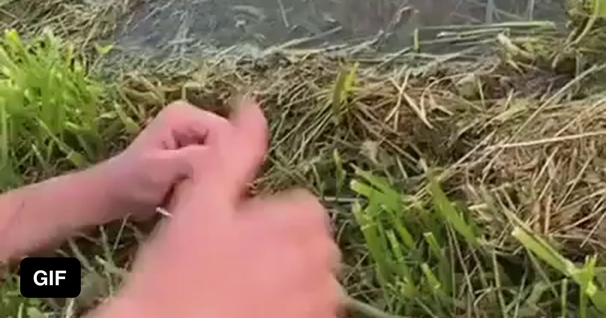 Clicking fingers to catch fish. - 9GAG