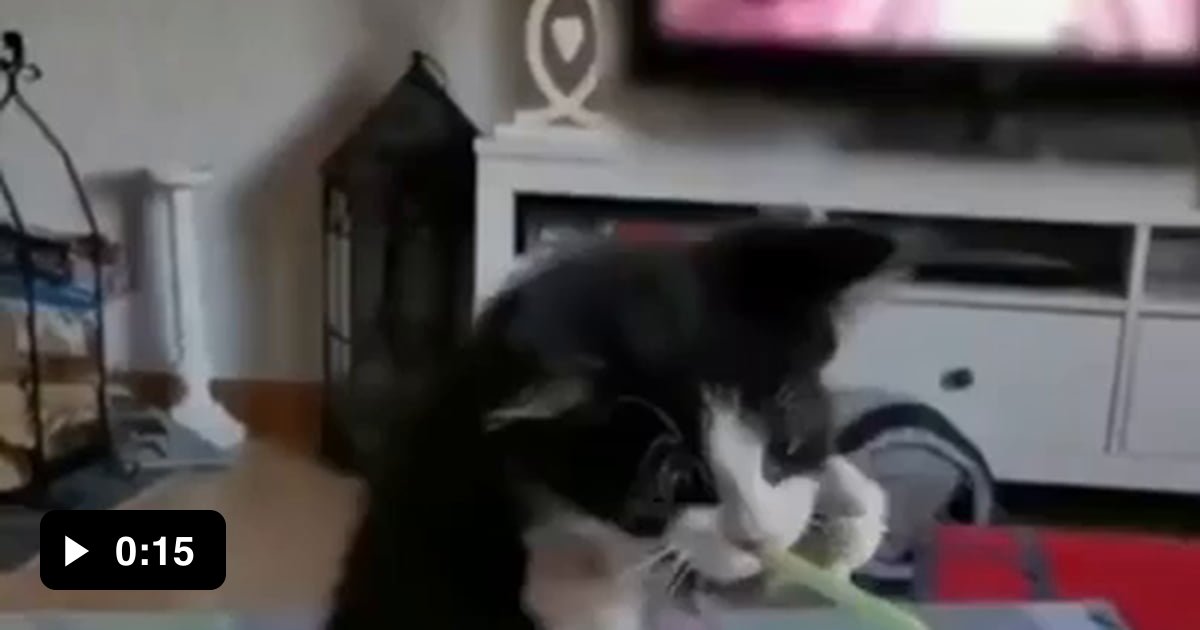 Try and try again? - 9GAG