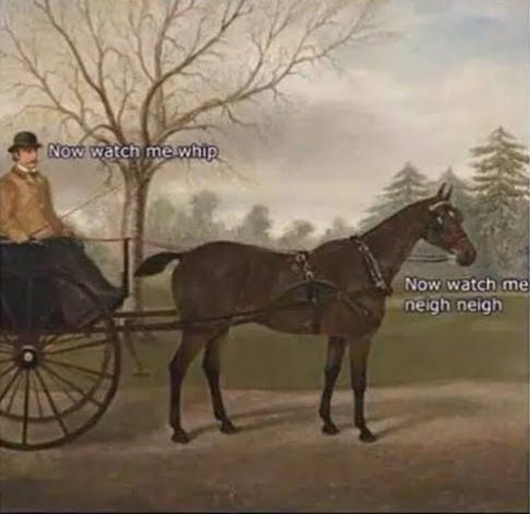 A horse named mayo.... because mayo neighs.. - 9GAG