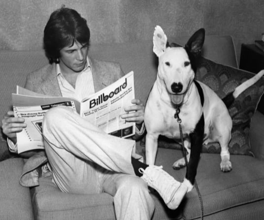 Rick Springfield and his "Working Class Dog" Ronnie, 1981 - 9GAG