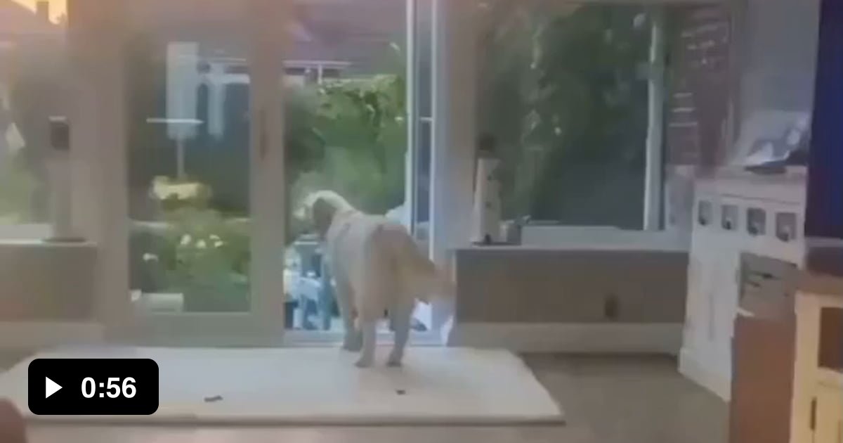 Pavarotti duet. - 9GAG