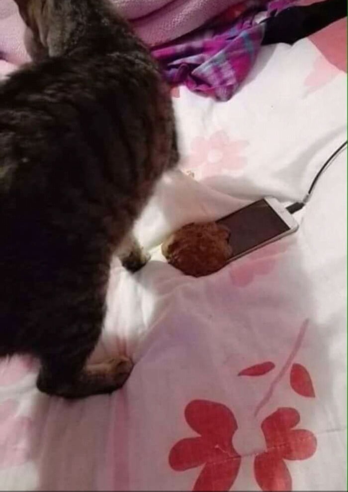 I think my Phone Fully charged - 9GAG