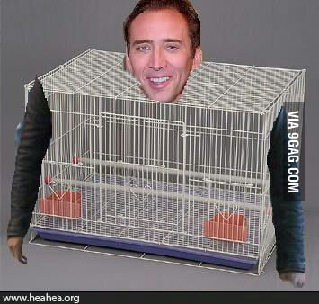 So I searched Nicolas Cage in a cage - 9GAG