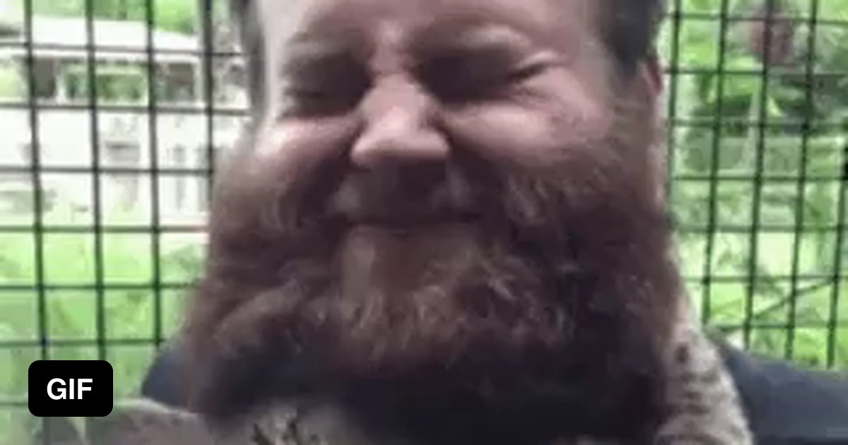 Bobcat loves this guy's full beard! - 9GAG