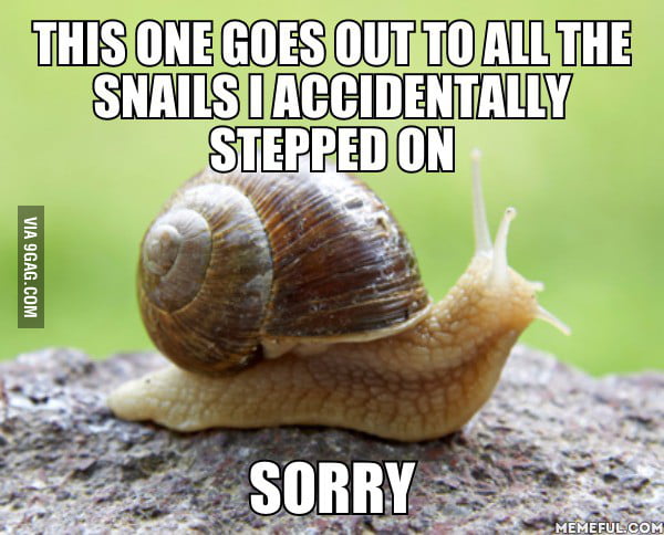 I'm sorry - 9GAG