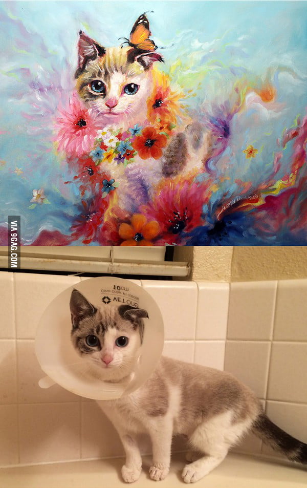 Kitty and her portrait. - 9GAG