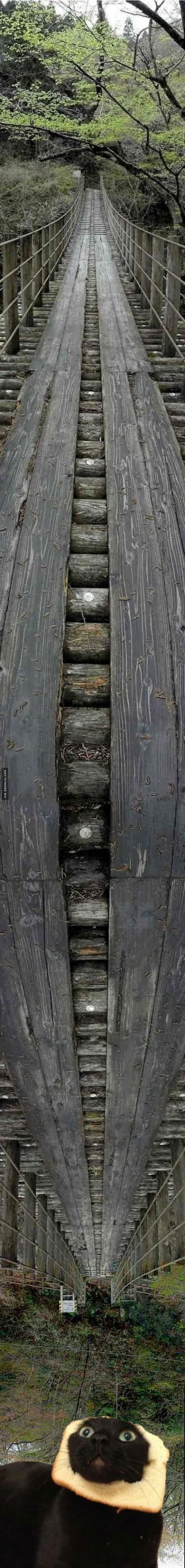 Go on, scroll - 9GAG