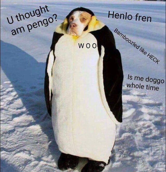 Woo fren - 9GAG