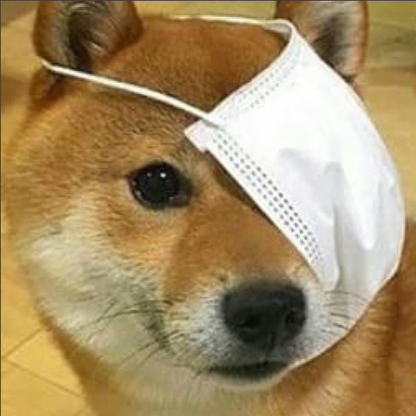 It's Dr. Doge - 9GAG