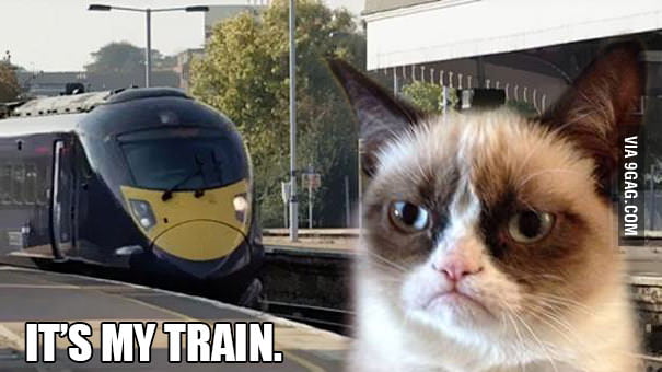 Grumpy cat's train - 9GAG