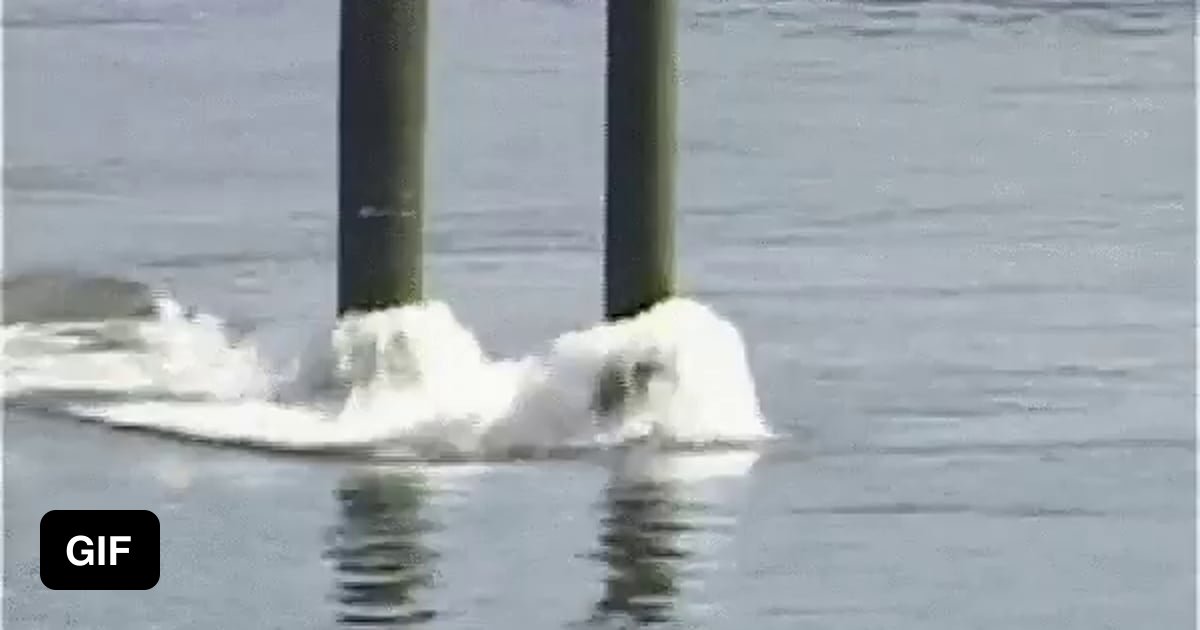 Tank coming out of the water - 9GAG