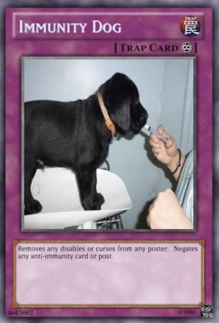 Immunity Doggo - 9GAG
