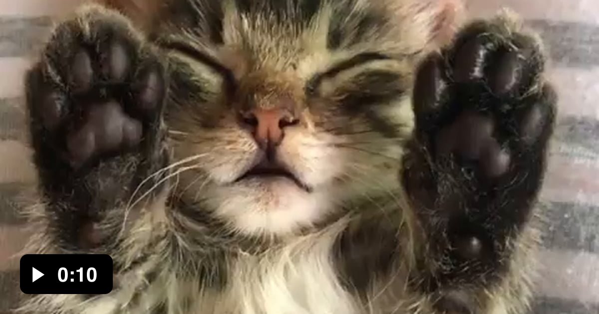 Sleepy toe beans - 9GAG