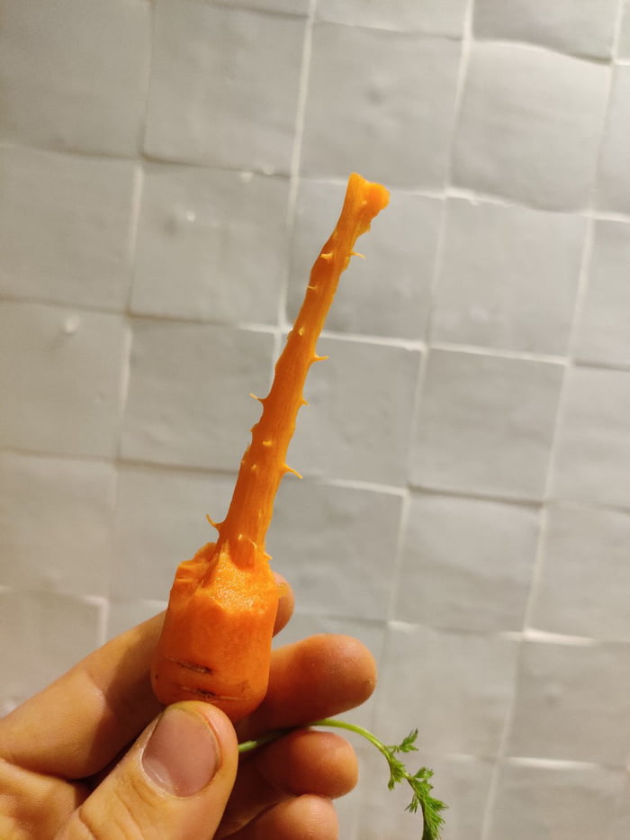 Carrot core - 9GAG