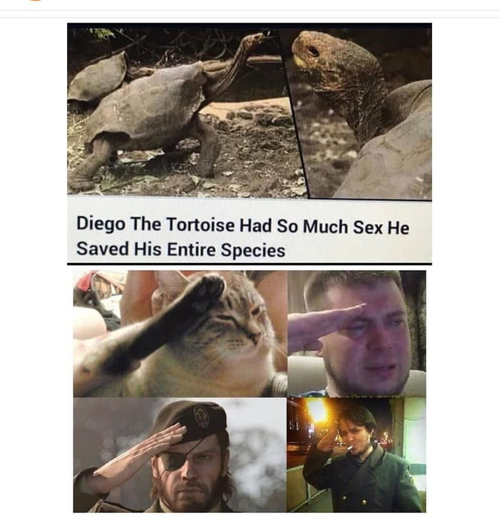 Hero in a half shell, turtle power! - 9GAG