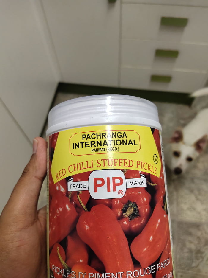 Pip install pickle - 9GAG