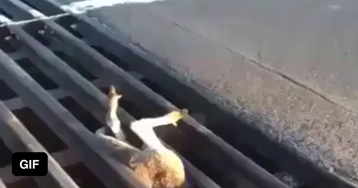 Are you stuck? - 9GAG