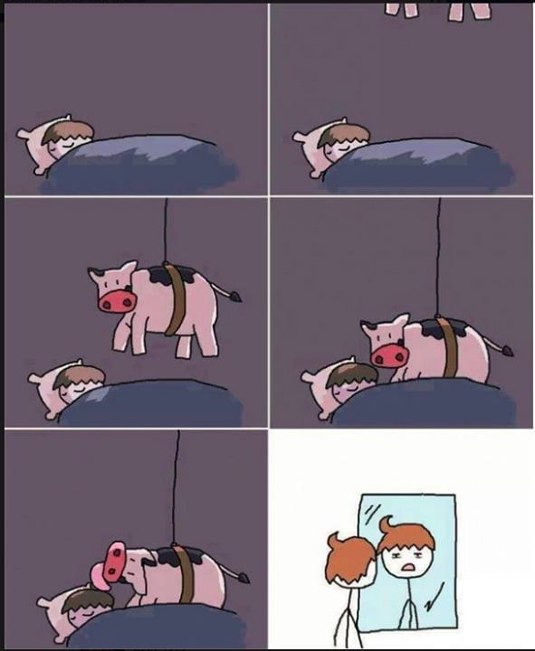 Damn cows. - 9GAG