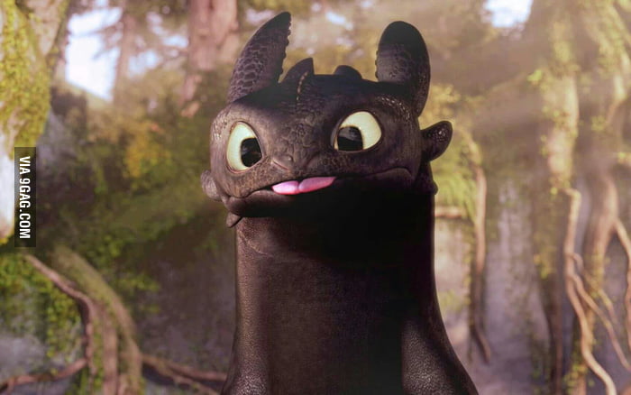 Toothless - 9GAG