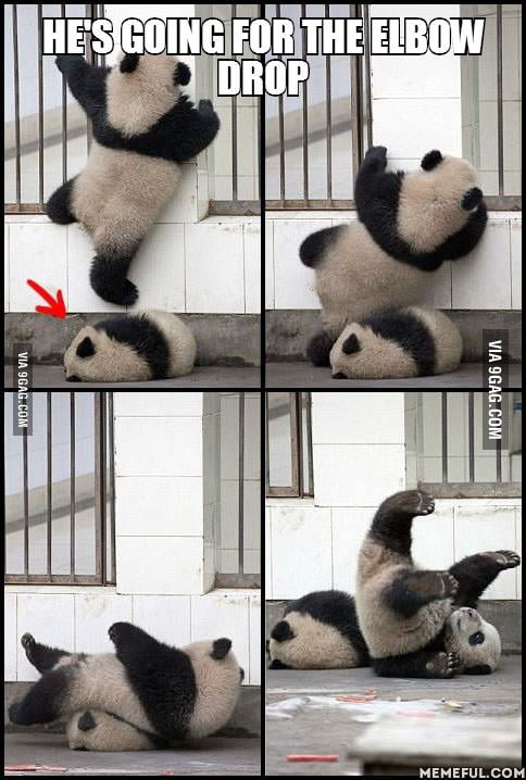 He's going for the elbow drop. - 9GAG