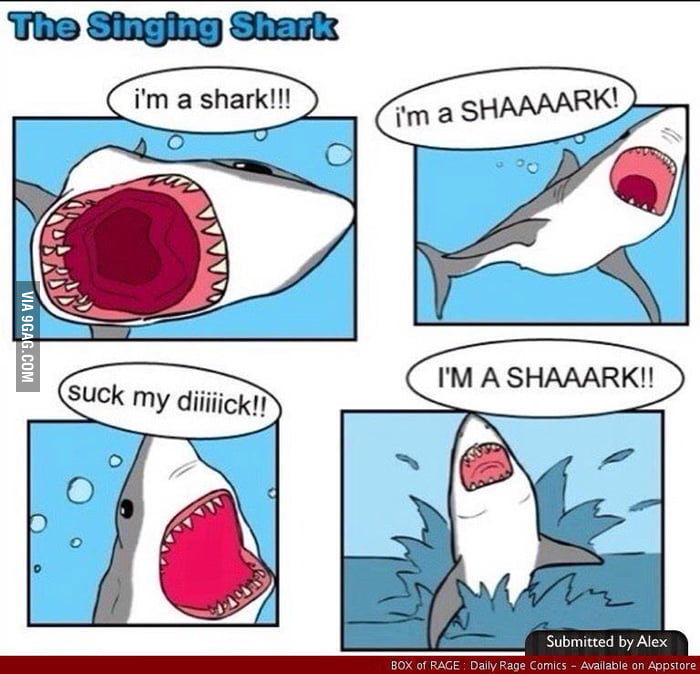 Imma shark - 9GAG