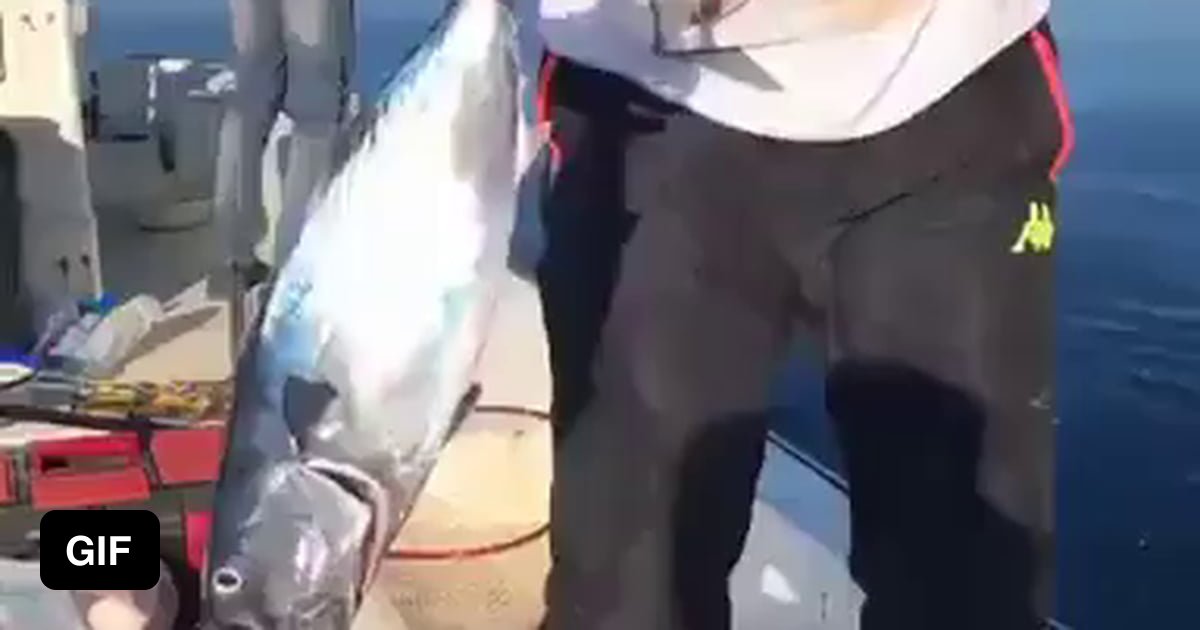 Nice day of fishing - 9GAG