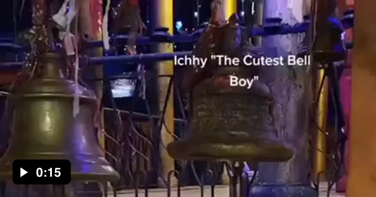 Dog is having fun ringing the bell - 9GAG