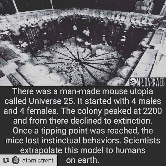The Mouse Utopia - 9GAG
