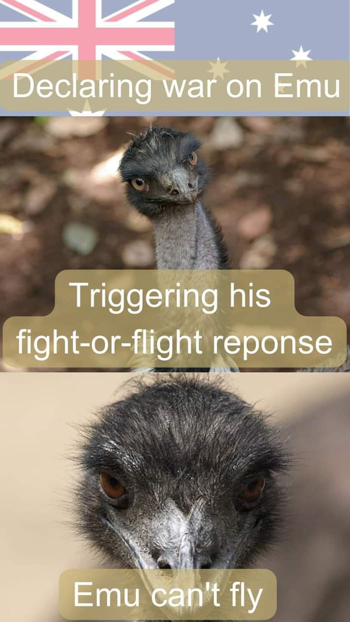The great emu war. - 9GAG