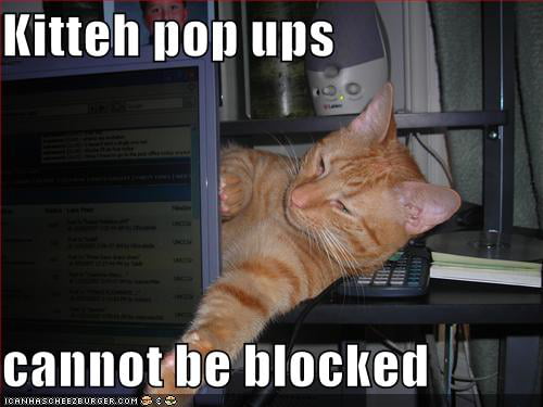 Cat spam, just purrfect ! - 9GAG