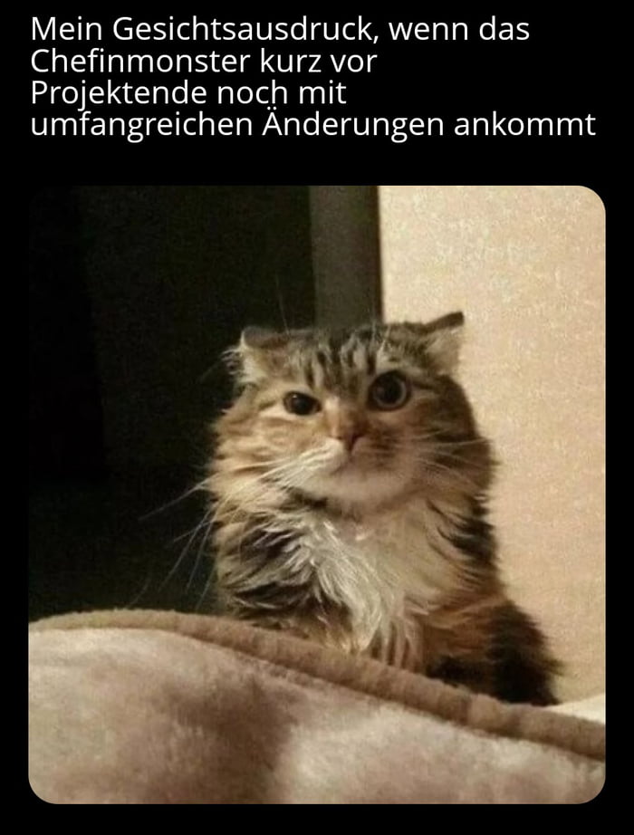 Bis zur Todeslinie sind es ja auch noch 49 Stunden, gar kein Problem ...