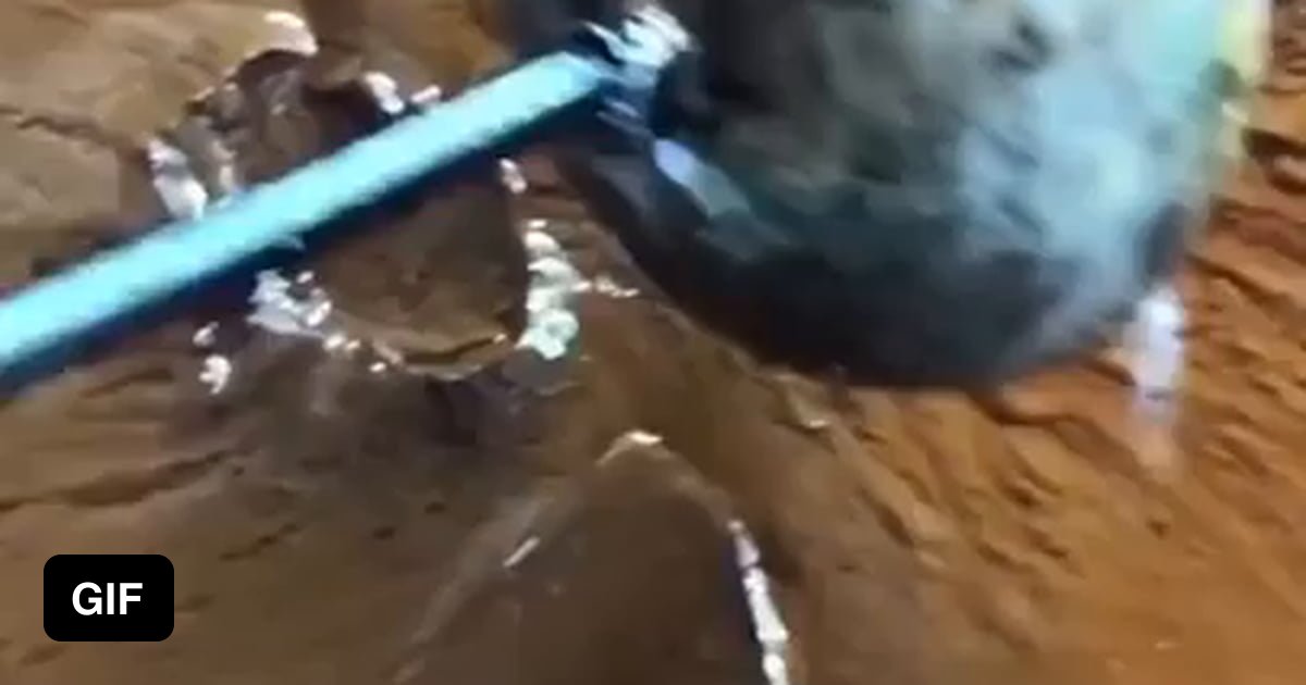 Traditional olive oil extraction ... - 9GAG