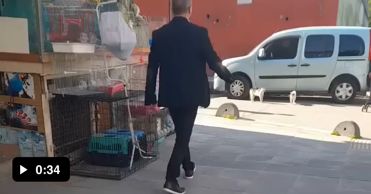 Hold me back bro. - 9GAG