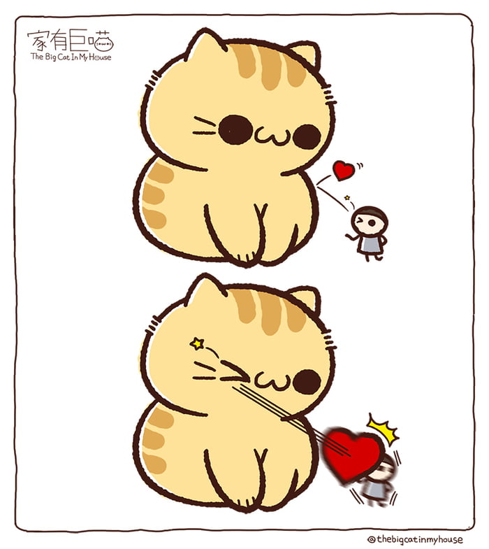 Please accept my overflowing love - 9GAG