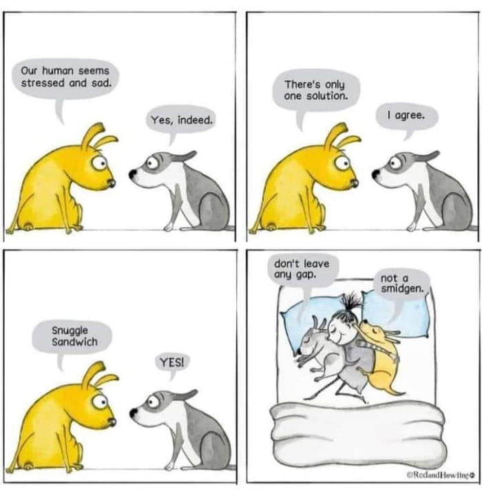 There is only one solution - 9GAG