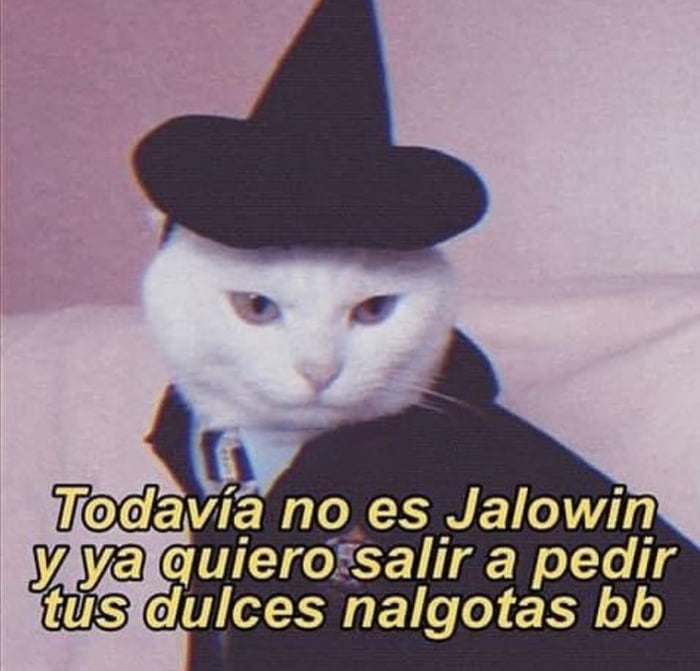 Y recuerden que Jalowin es la unica fecha donde pueden vestirse como ...