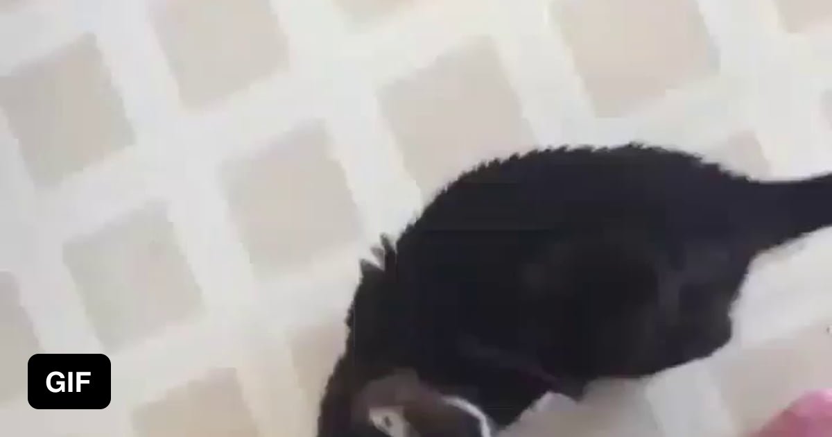 You know what to do - 9GAG